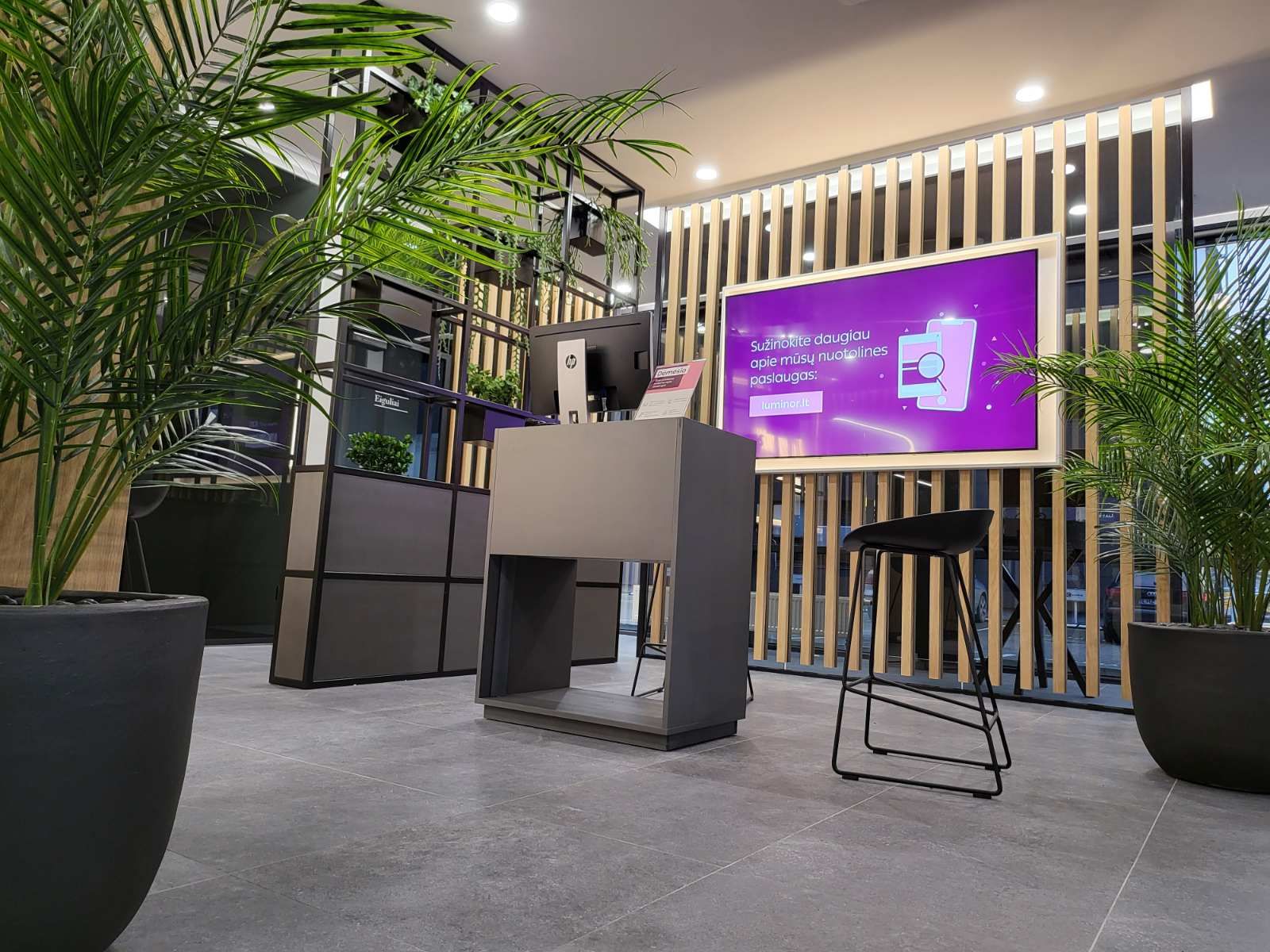 PVC ir kiliminės dangos klojimas | Daviska